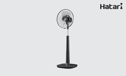 พัดลมตั้งพื้น Hatari รุ่น P16M1 | ทีเอ็มบีธนชาต (ttb)